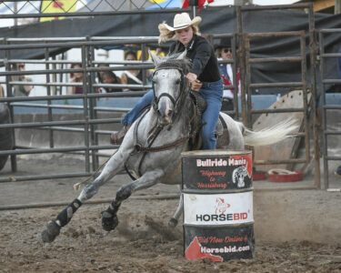 Rodeo comes to Lycoming County Fair | News, Sports, Jobs - Williamsport ...
